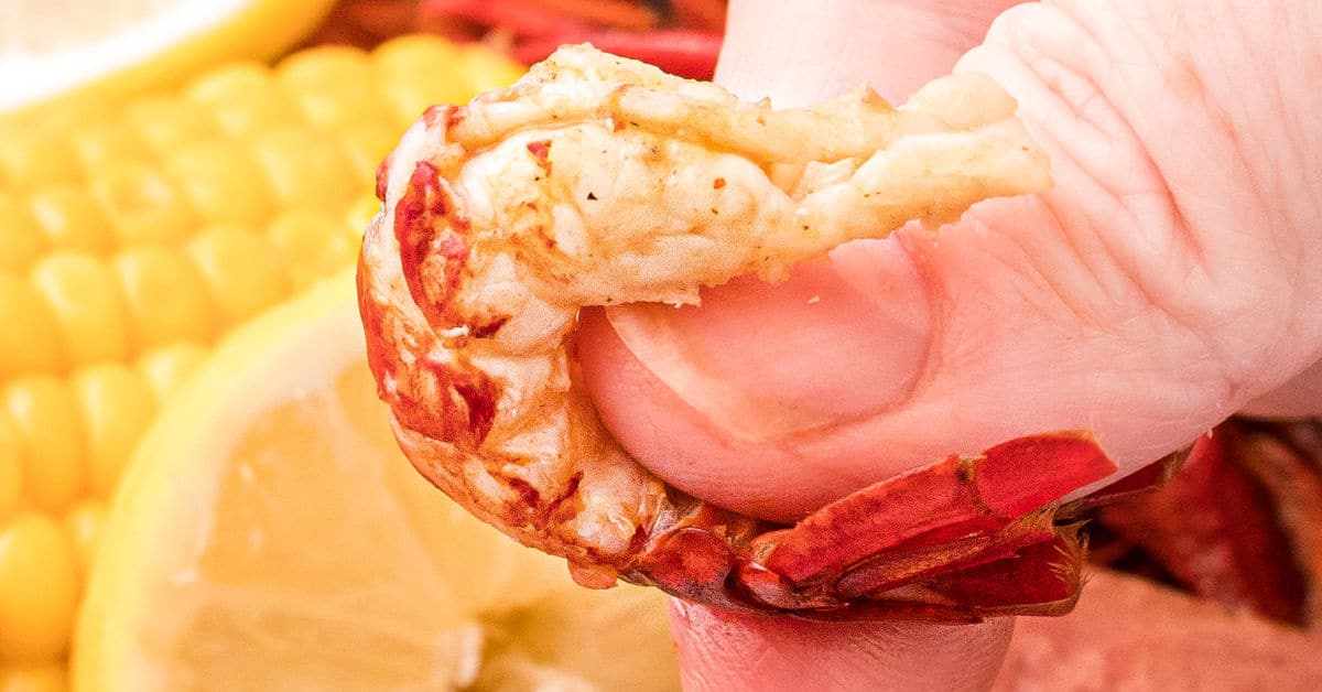 Everyones Favorite Louisiana Crawfish Recipes | The Cagle Diaries