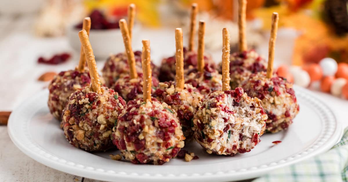Cranberry Pecan Cheese Ball Bites | The Cagle Diaries