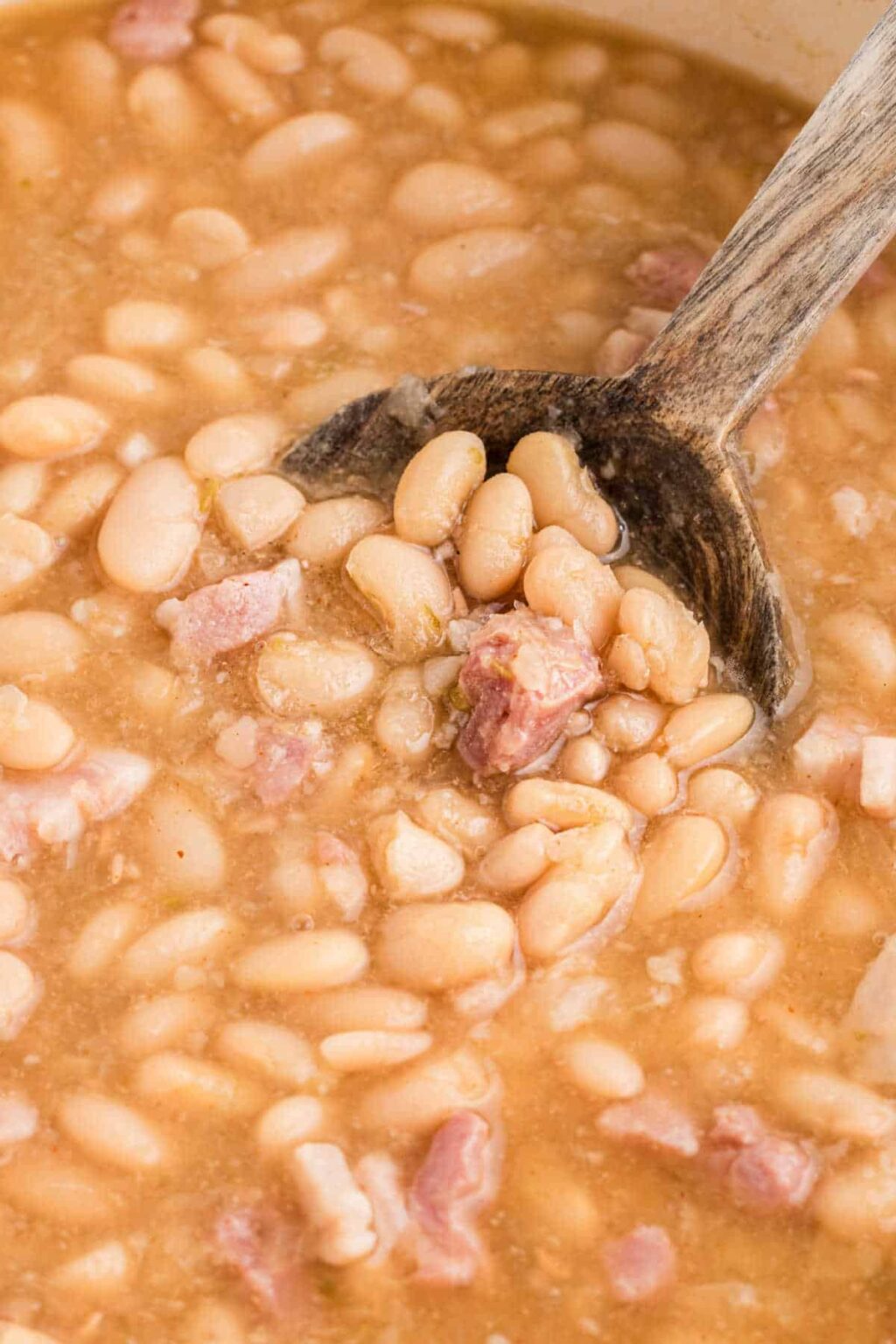 Southern Great Northern Beans Recipe | The Cagle Diaries
