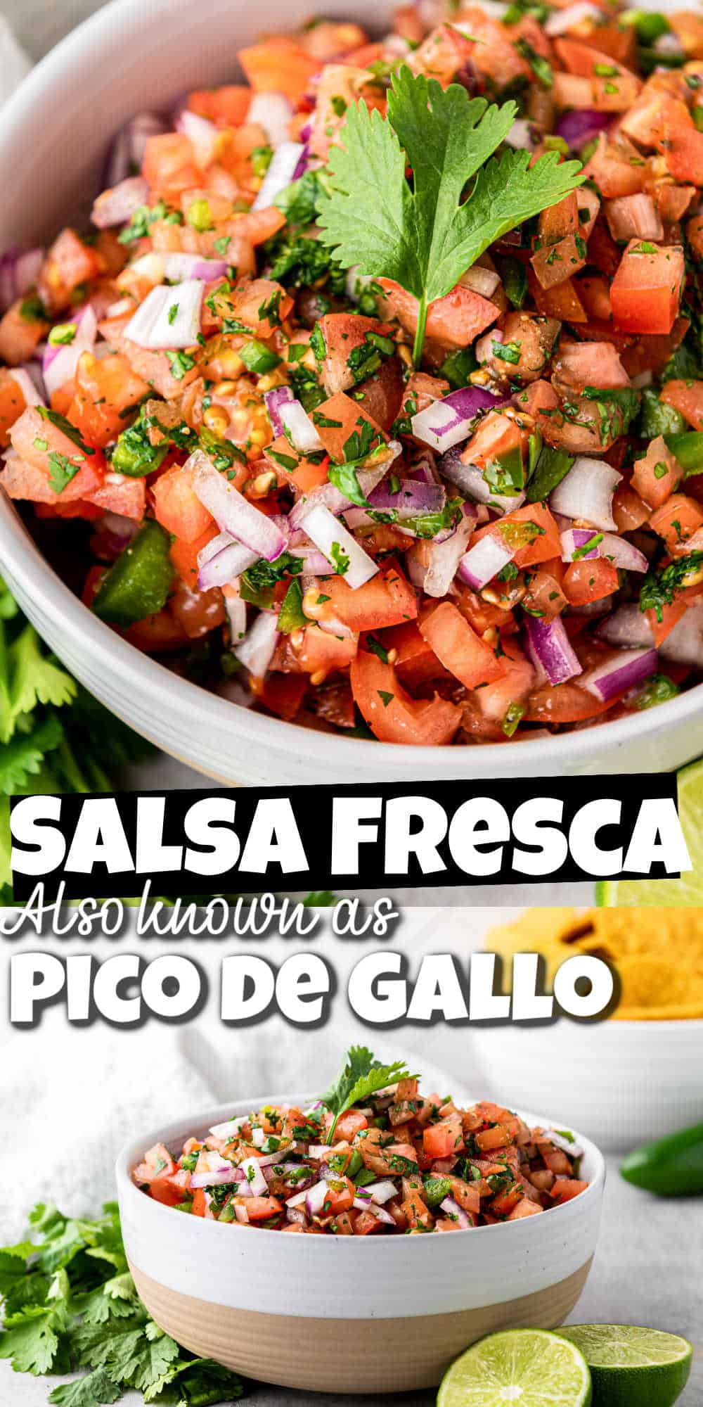 Salsa Fresca Recipe | The Cagle Diaries