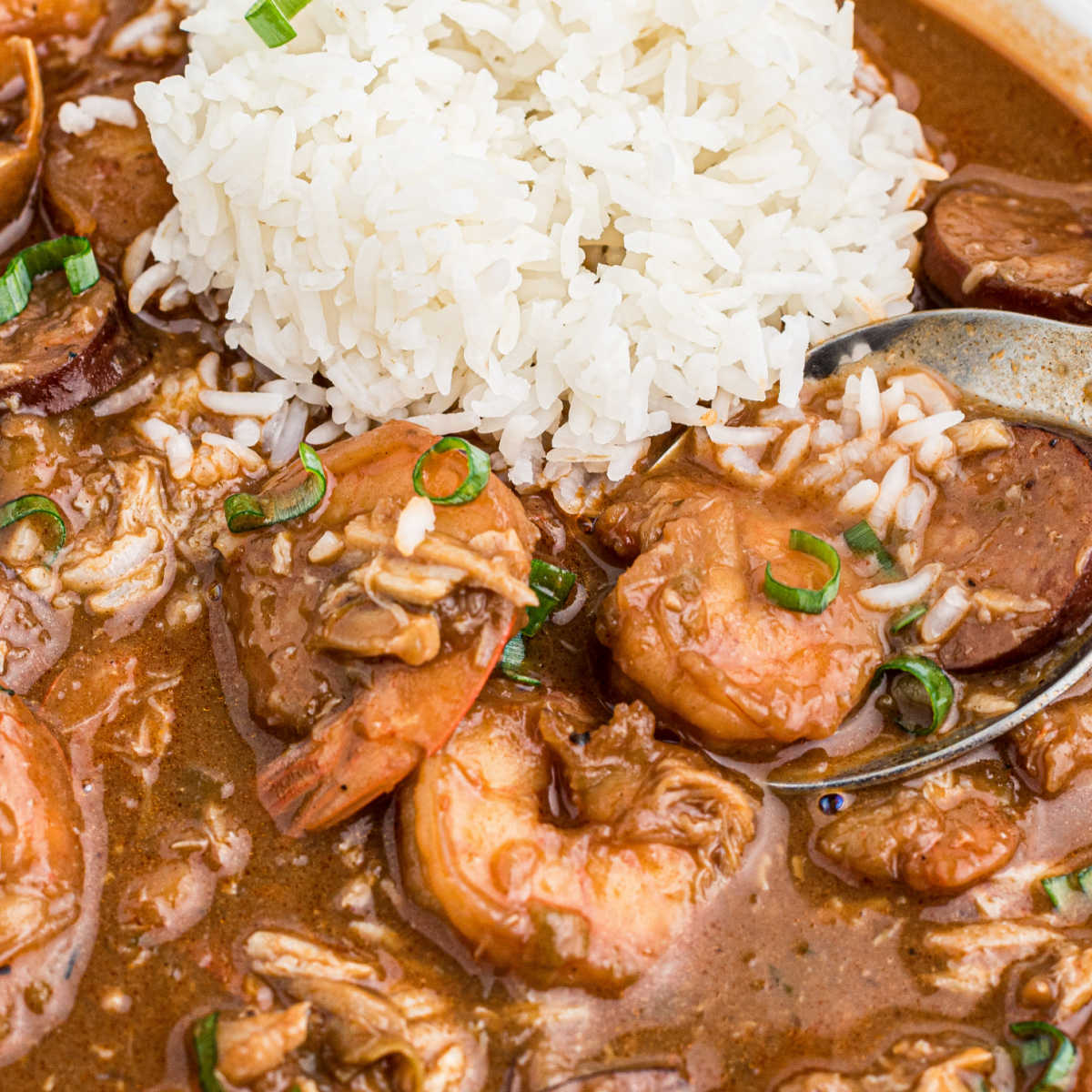 The Complete Guide To Gumbo: History, Techniques and Recipes | The ...